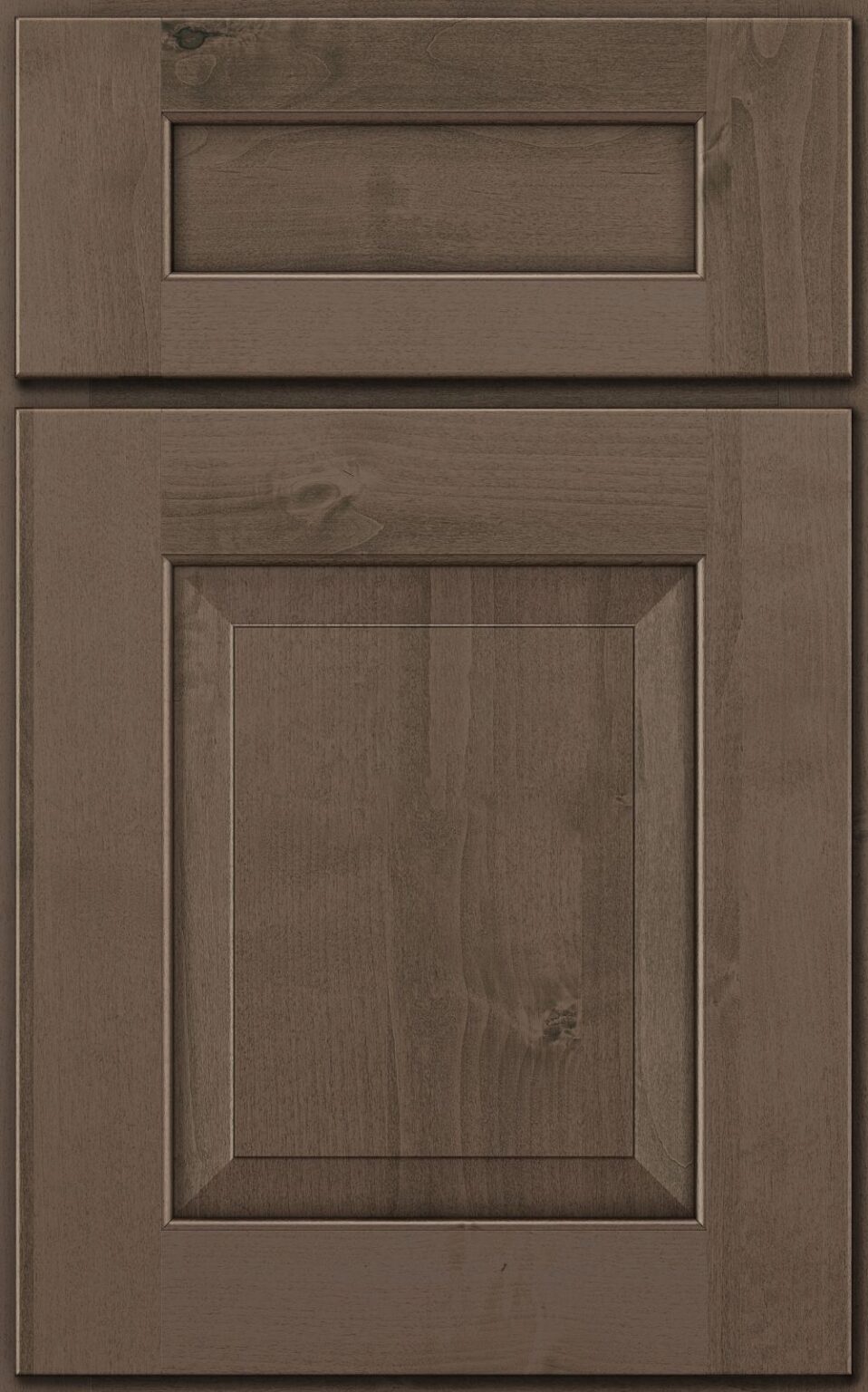 Park Place Raised Panel Door | Medallion Cabinetry