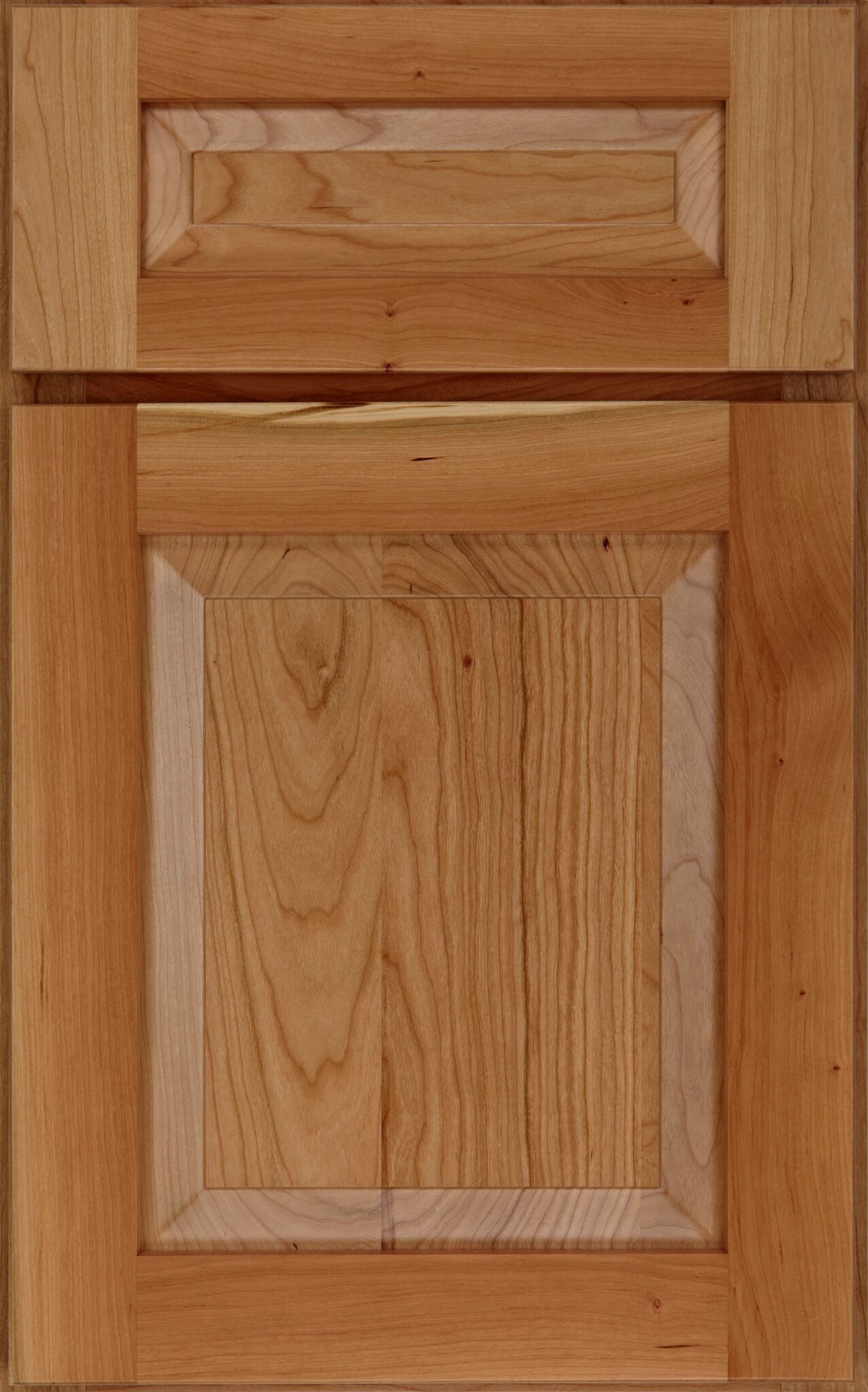 Potters Mill Raised Panel Door | Classic Medallion Style