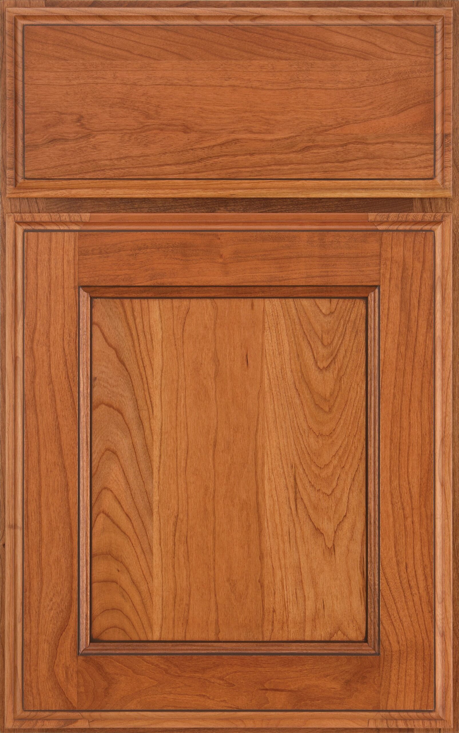 Rushmore Reverse Raised Panel - Medallion Cabinetry