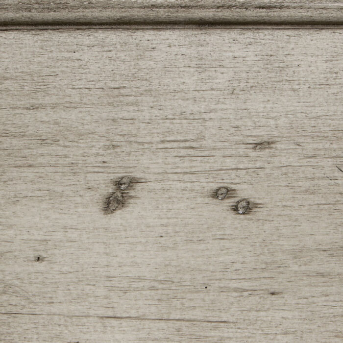 Shimmering Silver Appaloosa | Medallion Cabinetry